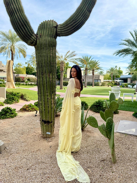 Lady Buttercup – The Little Black Bow